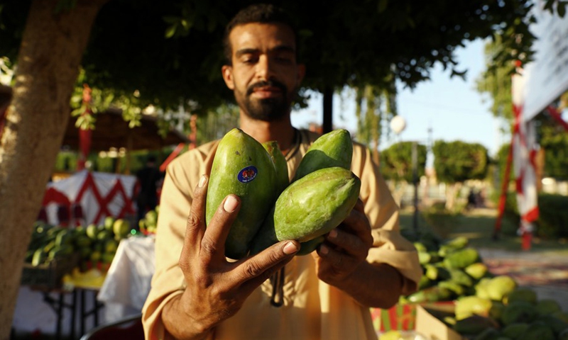 Mango festival in Egypt's Aswan directly connects producers with ...