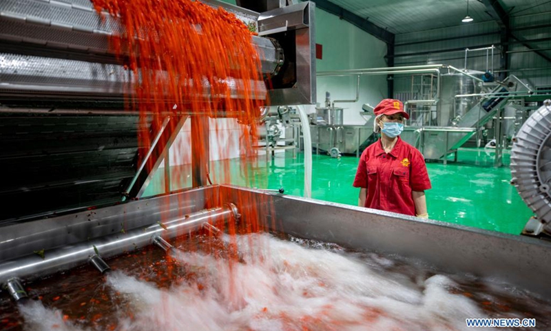 Zhongning County in Ningxia develops goji berry industry - Global Times