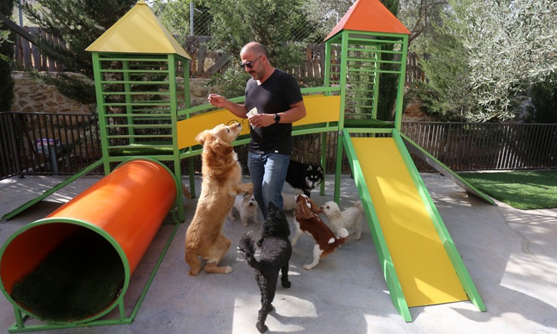 Palestinian man establishes first hotel for pets in West Bank - Global ...