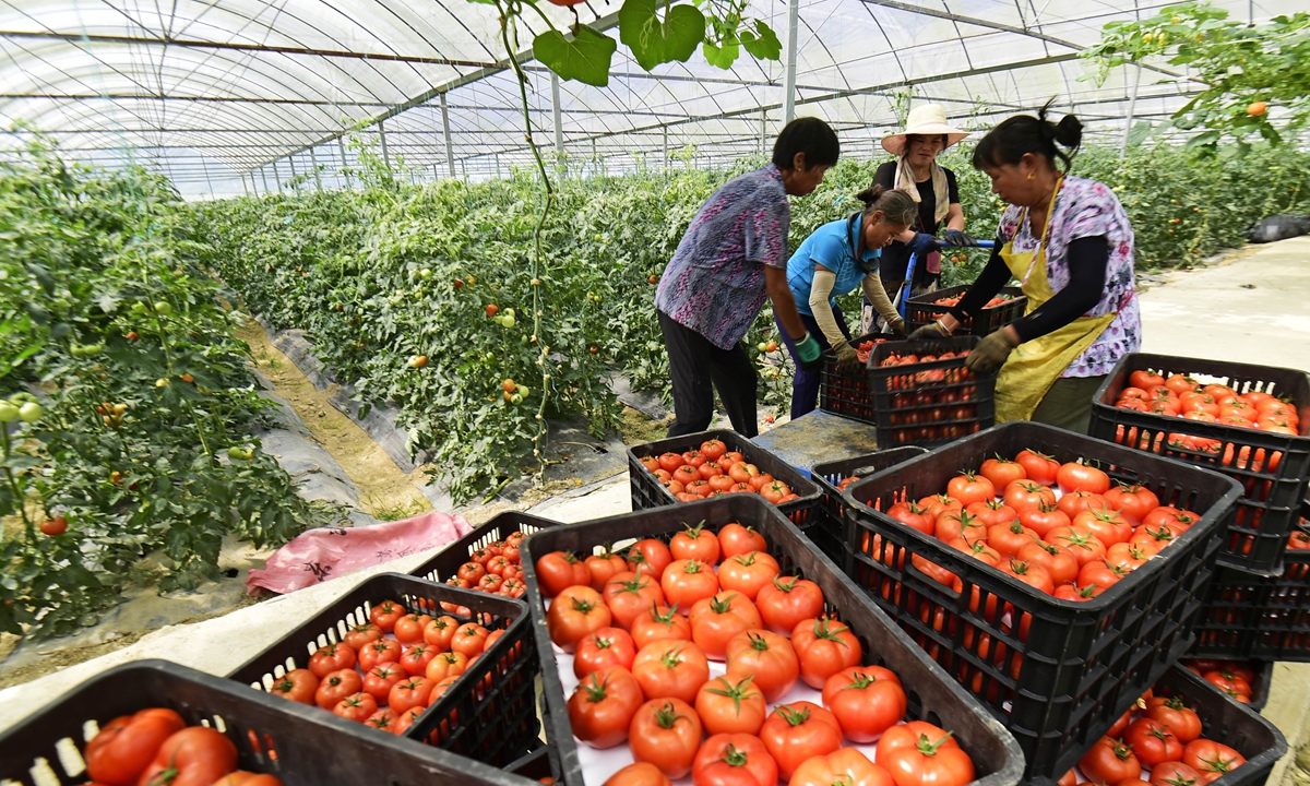 Ripe for growth - Global Times