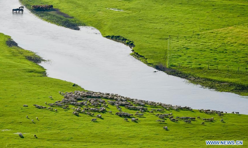 Scenery of Morigele River in Hulun Buir, N China - Global Times