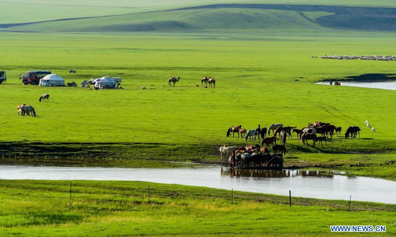 Scenery of Morigele River in Hulun Buir, N China - Global Times