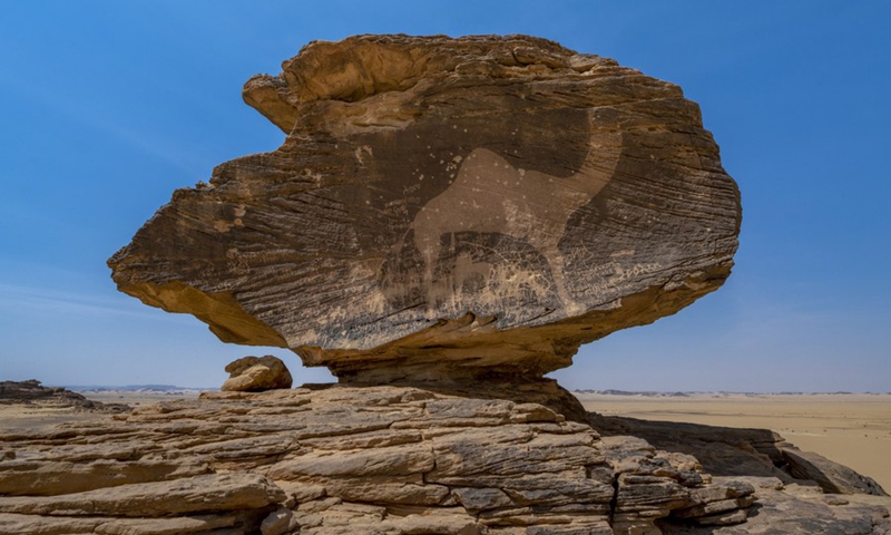 Hima Cultural Area added on UNESCO World Heritage Site list - Global Times