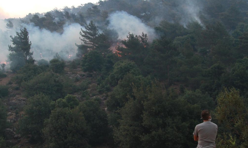 Lebanon battles rapidly spreading wildfires for 3rd day - Global Times
