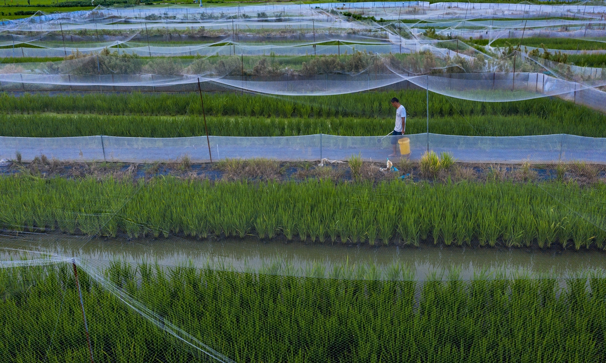 Compound farming - Global Times