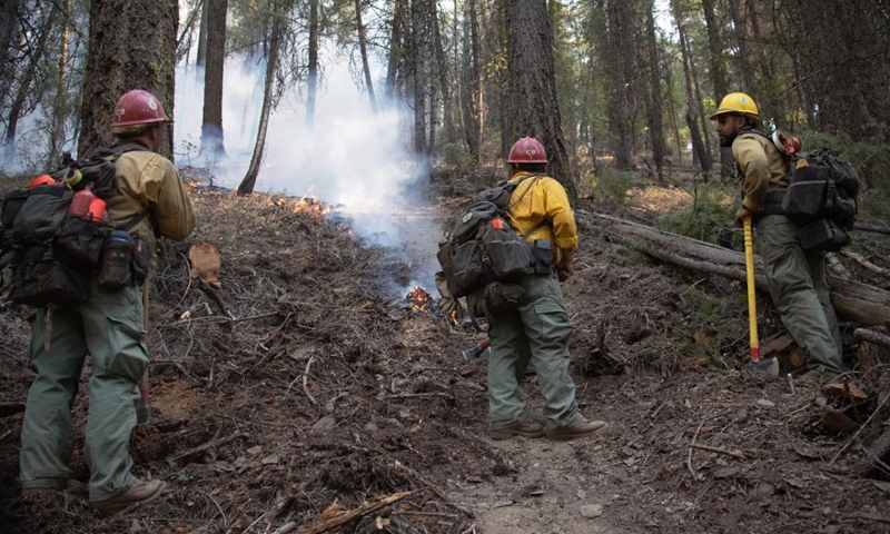 Dixie Fire burns over 700,000 acres in US California - Global Times