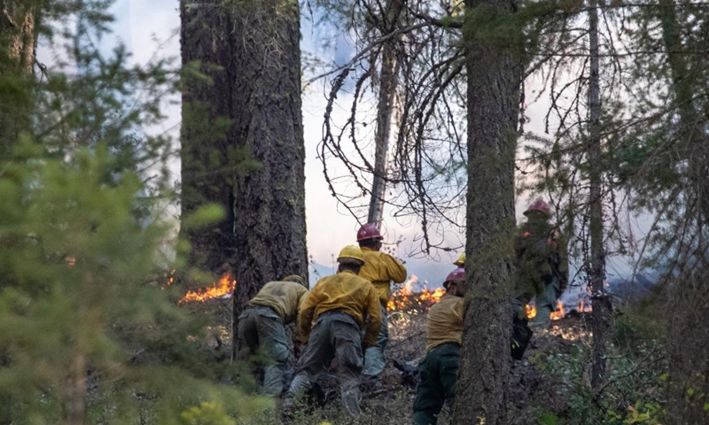 Dixie Fire burns over 700,000 acres in US California - Global Times
