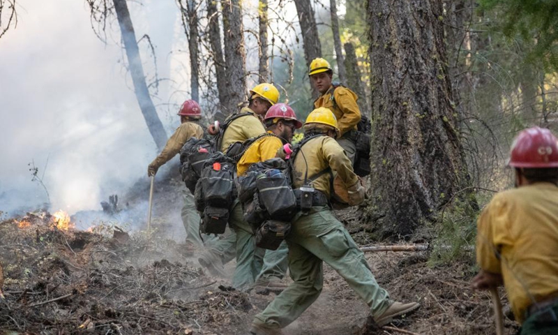 Dixie Fire burns over 700,000 acres in US California - Global Times