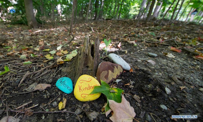 Painted rocks attract people to Pheasant Run Trail in Mississauga ...