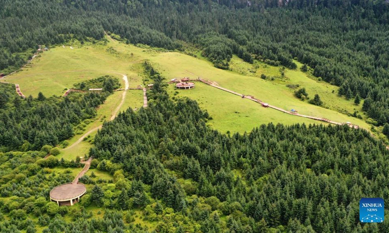 View of Zhagana scenic area in Diebu County, Gansu - Global Times