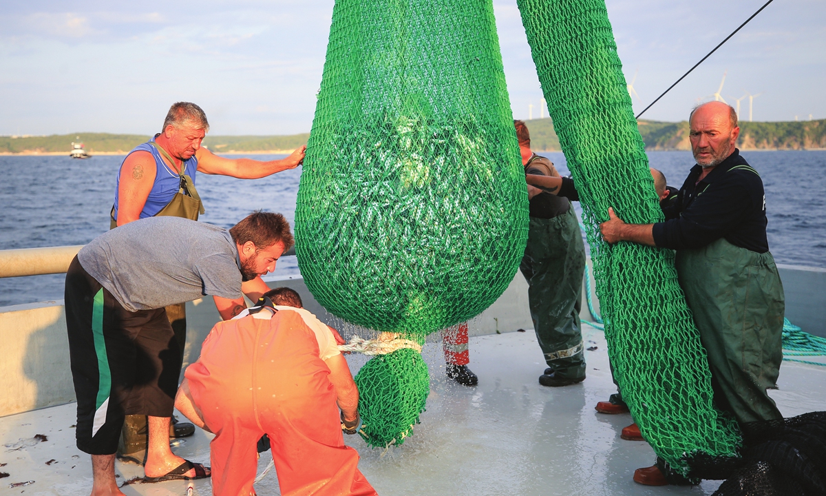 Catch of the day - Global Times