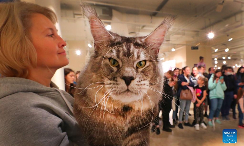 Cat show held in Minsk, Belarus - Global Times