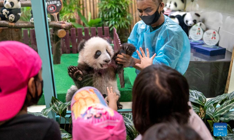 Malaysians flock to national zoo to see giant panda cub - Global Times