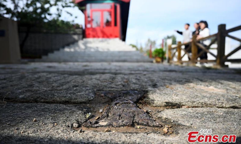 Cangzhou integrates water conservancy with Grand Canal culture - Global ...