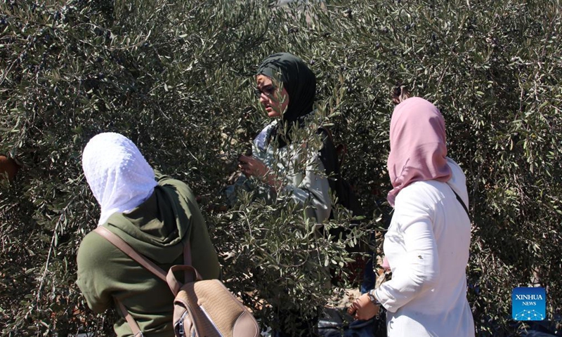 Palestinian farmers start olive harvest season against multiple ...