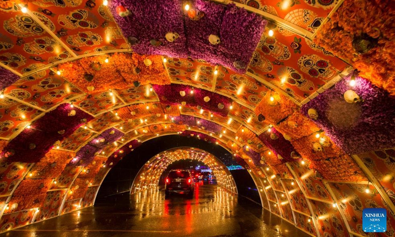 Halloween-themed light show held in Ontario, Canada - Global Times