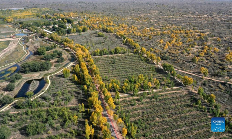 Autumn scenery at Haba Lake nature reserve in Ningxia - Global Times