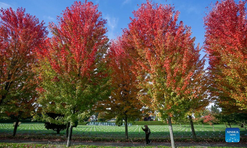 Fall foliage in Vancouver, Canada - Global Times