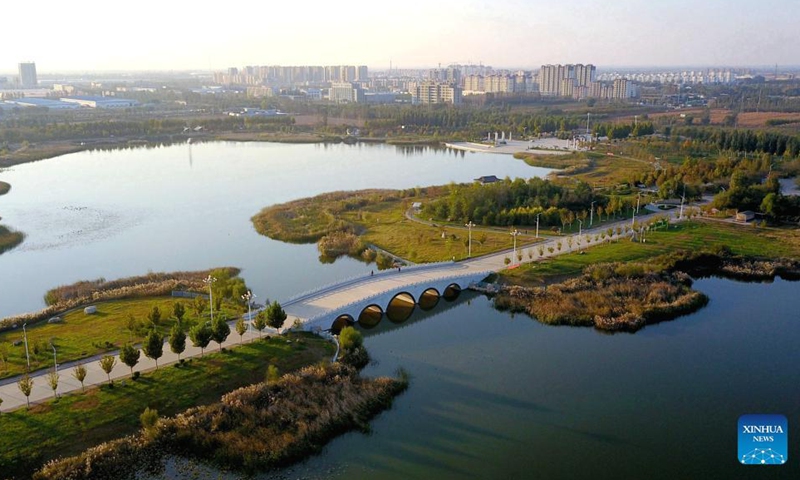 Xinhe County in China's Hebei boosts rural vitalization - Global Times