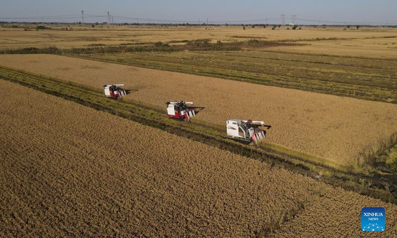 Farmers embrace harvest in north China - Global Times