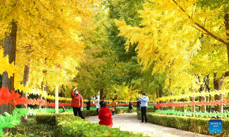 Autumn scenery in Changqing scenic area, Hebei - Global Times