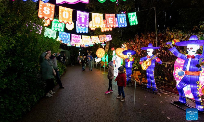 Annual lantern show opens in Dublin, Ireland - Global Times
