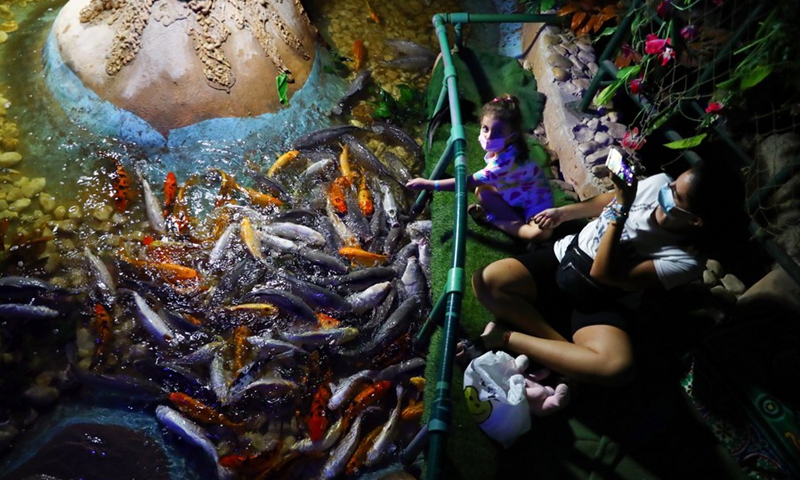 Egypt's Hurghada aquarium gains popularity as tourist spot - Global Times