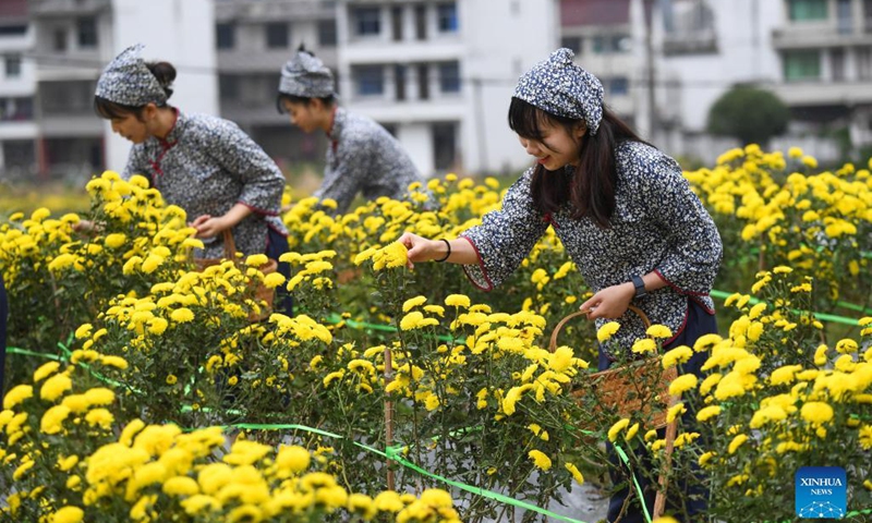 Mountains burst forth with flowers in Qingtian County, Zhejiang ...