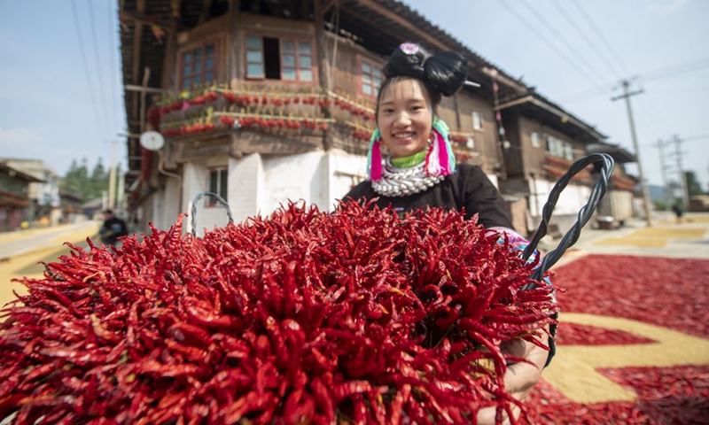 Chilies spice up economy in China's Guizhou - Global Times