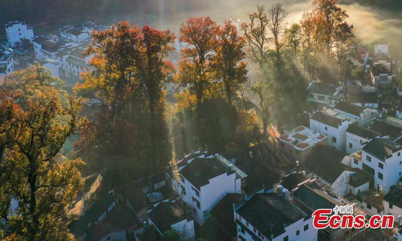 Maple leaves turn red in E China's ancient village - Global Times