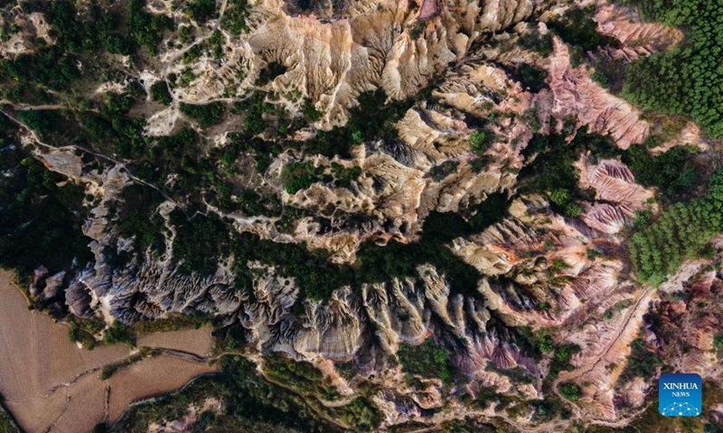Scenery of earth forest in Yuanmou County, SW China's Yunnan Province ...