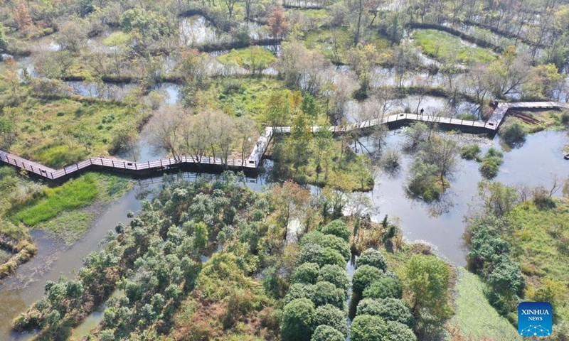 Winter scenery of Huixian Wetlands in Guilin - Global Times