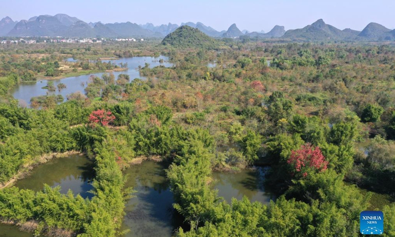 Winter scenery of Huixian Wetlands in Guilin - Global Times