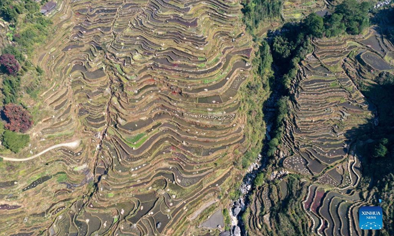 Terraced fields in Guangxi, S China - Global Times