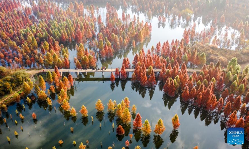 Scenery of wetland in Kunming, Yunnan - Global Times