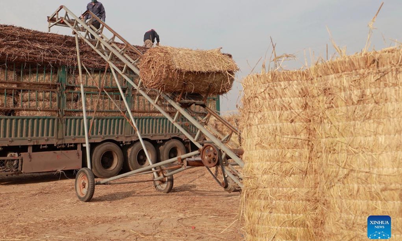 Farmers recycle straw to increase income - Global Times