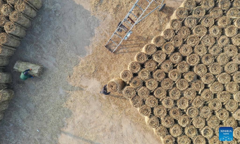 Farmers recycle straw to increase income - Global Times