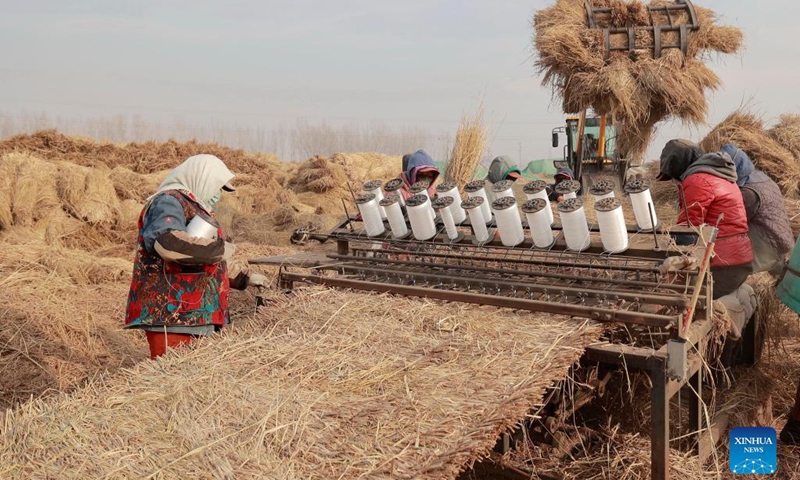 Farmers recycle straw to increase income - Global Times