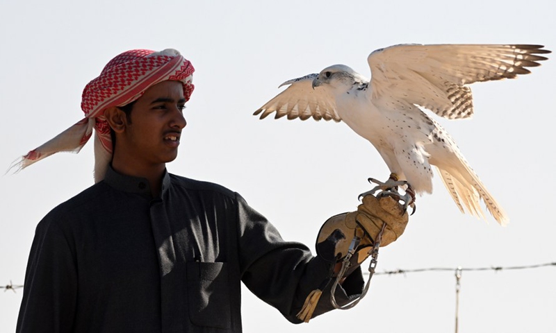 Falcon hunting show in Kuwaiti desert - Global Times