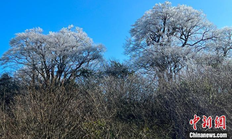 Snow and rime put colors on mountain in N Guangxi - Global Times