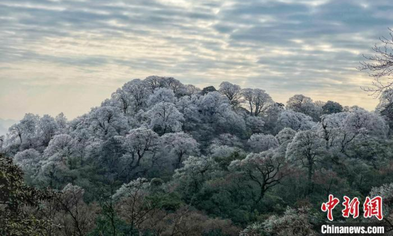 Snow and rime put colors on mountain in N Guangxi - Global Times