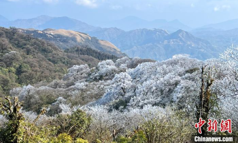 Snow and rime put colors on mountain in N Guangxi - Global Times