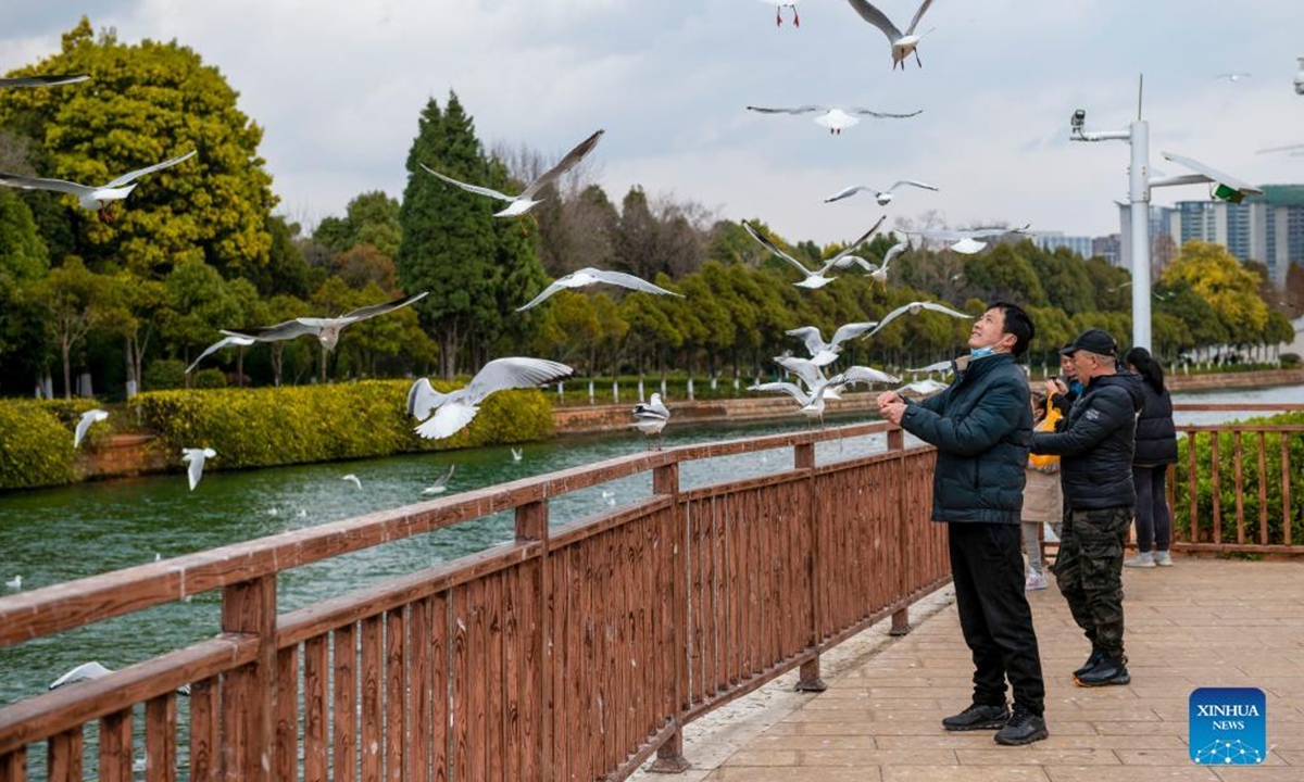 Scenery of Haihong Wetland Park in Kunming, SW China's Yunnan - Global ...