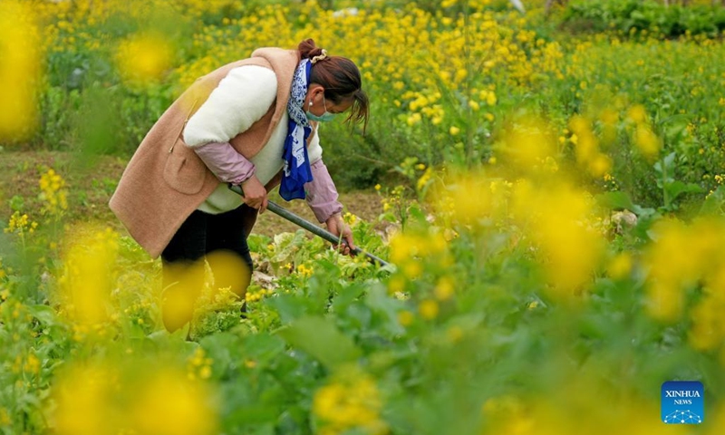 Spring farming starts in China - Global Times