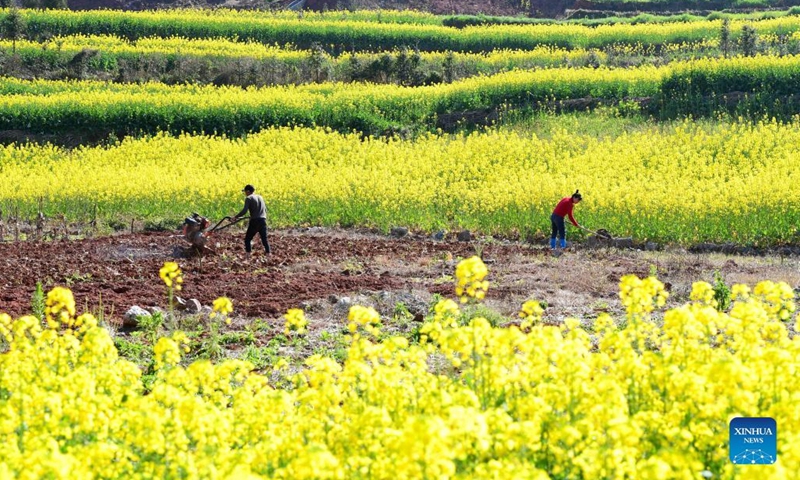 Spring farming starts in China - Global Times
