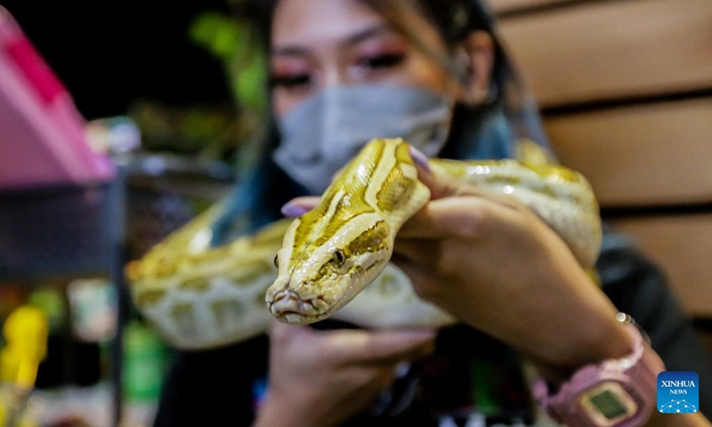 Animal fair held in Pasay City, the Philippines - Global Times
