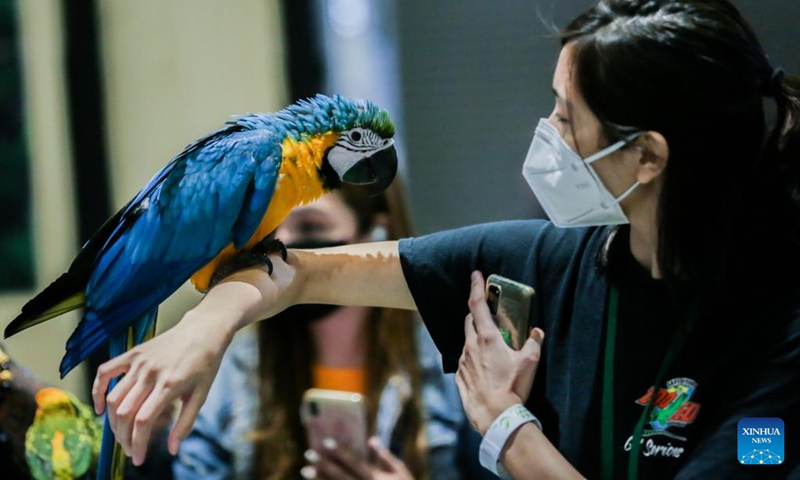 Animal fair held in Pasay City, the Philippines - Global Times