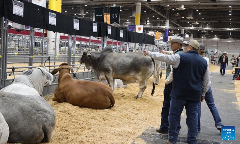 Houston Livestock Show and Rodeo kicks off - Global Times