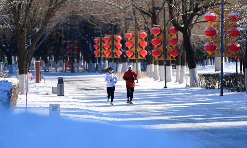 View of snow in Shenyang, northeast China's Liaoning Province - Global ...