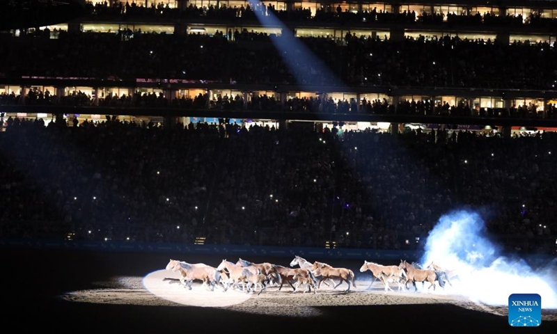 Houston Livestock Show and Rodeo held in Texas, US - Global Times